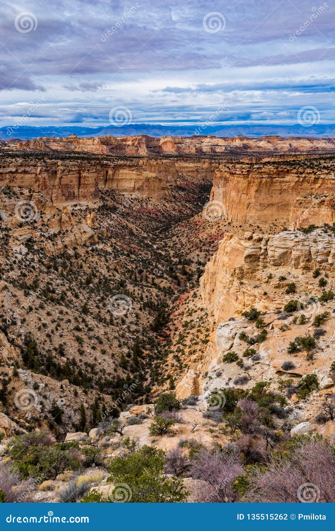 Deep Sandstone Canyon stock photo. Image of dragon, cliff - 135515262