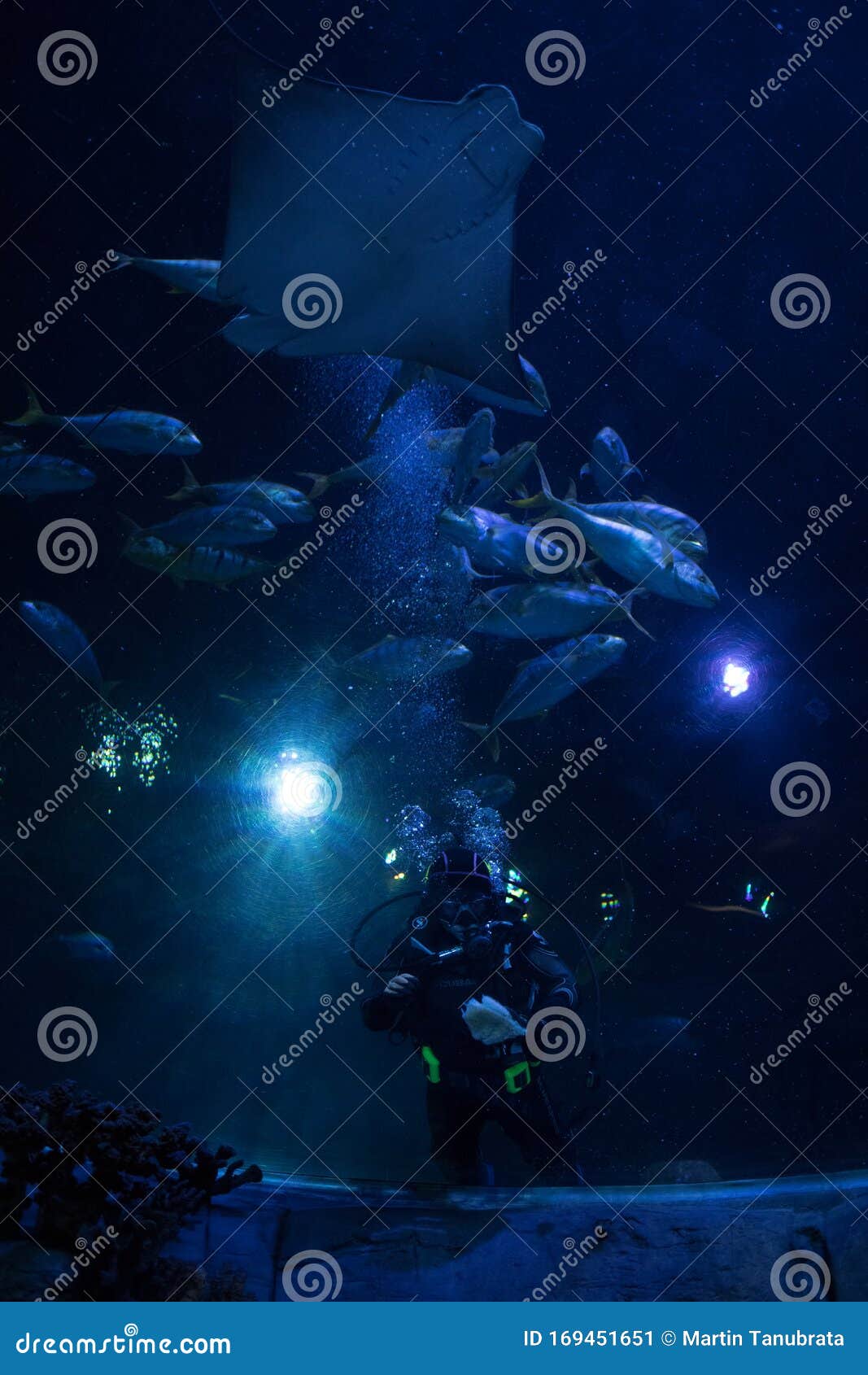 Deep sea diver stock image. Image of swimming, blue - 169451651