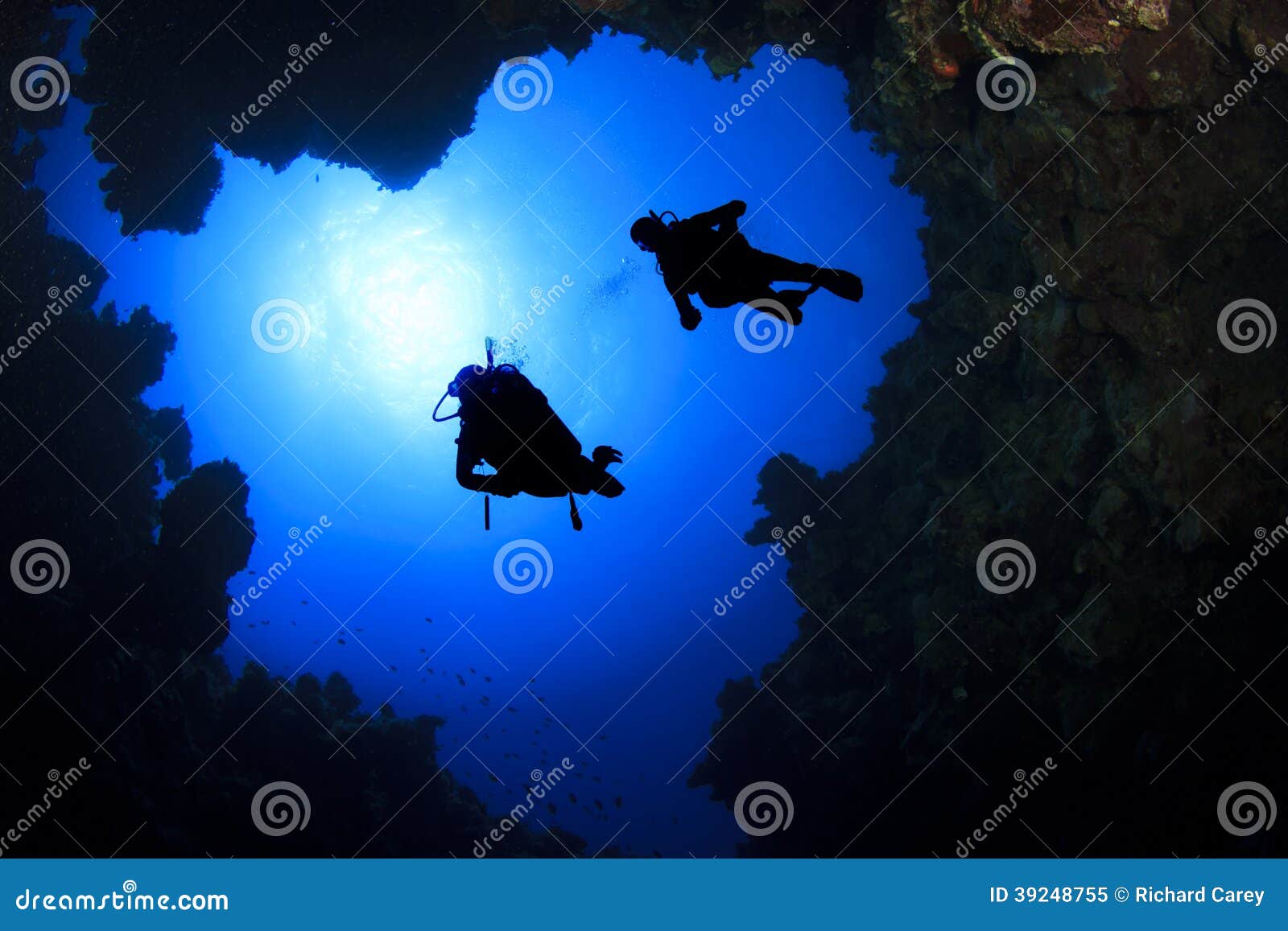 Deep Sea Diving stock image. Image of coral, caribbean - 39248755