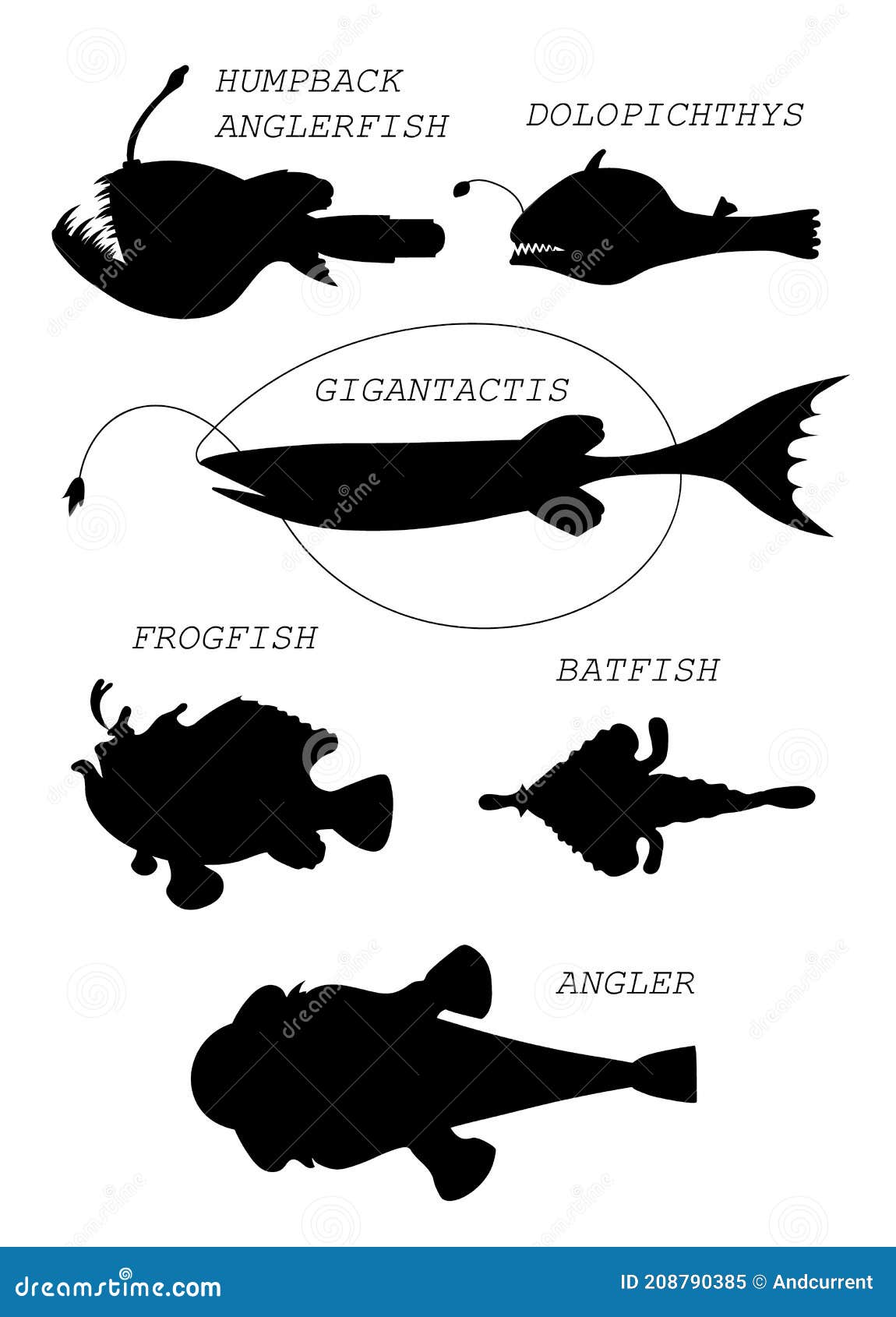 Deep-sea Fishs. Black Silhouette Vector Illustratuin Collection. Stock ...