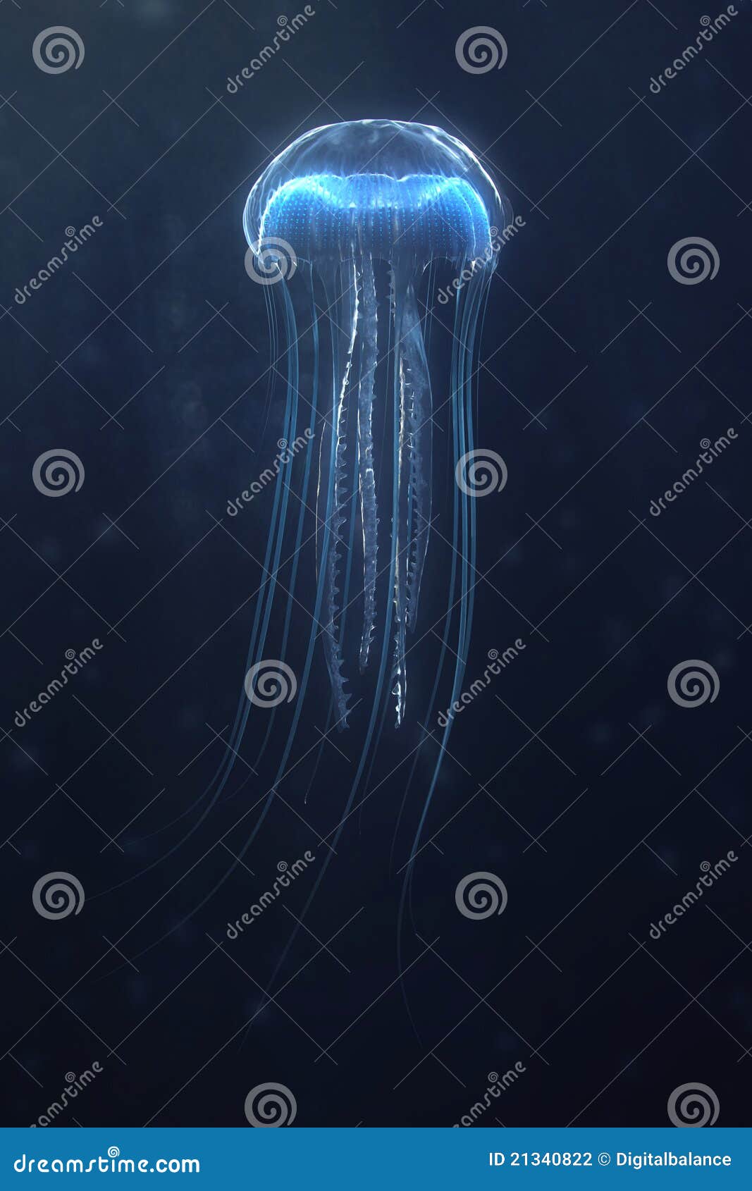 Deep sea jellyfish stock illustration. Illustration of fauna - 21340822
