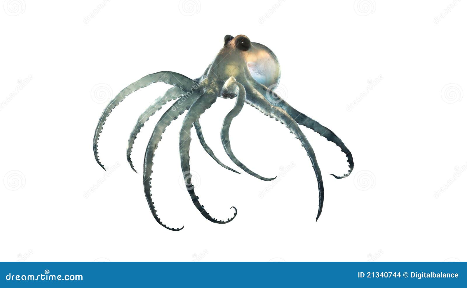 Deep sea octopod isolated stock illustration. Illustration of natural ...