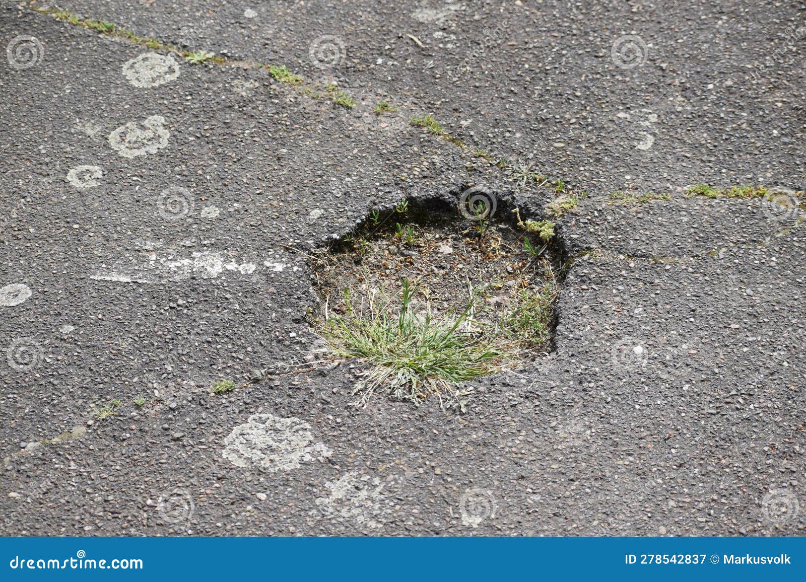 A Deep Single Pothole with Some Grass Growing in it Stock Image - Image ...