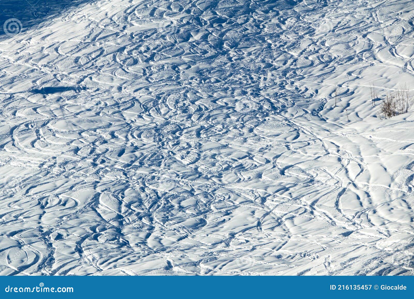 Ski and Snowboard Tracks in the Snow Stock Image - Image of environment ...