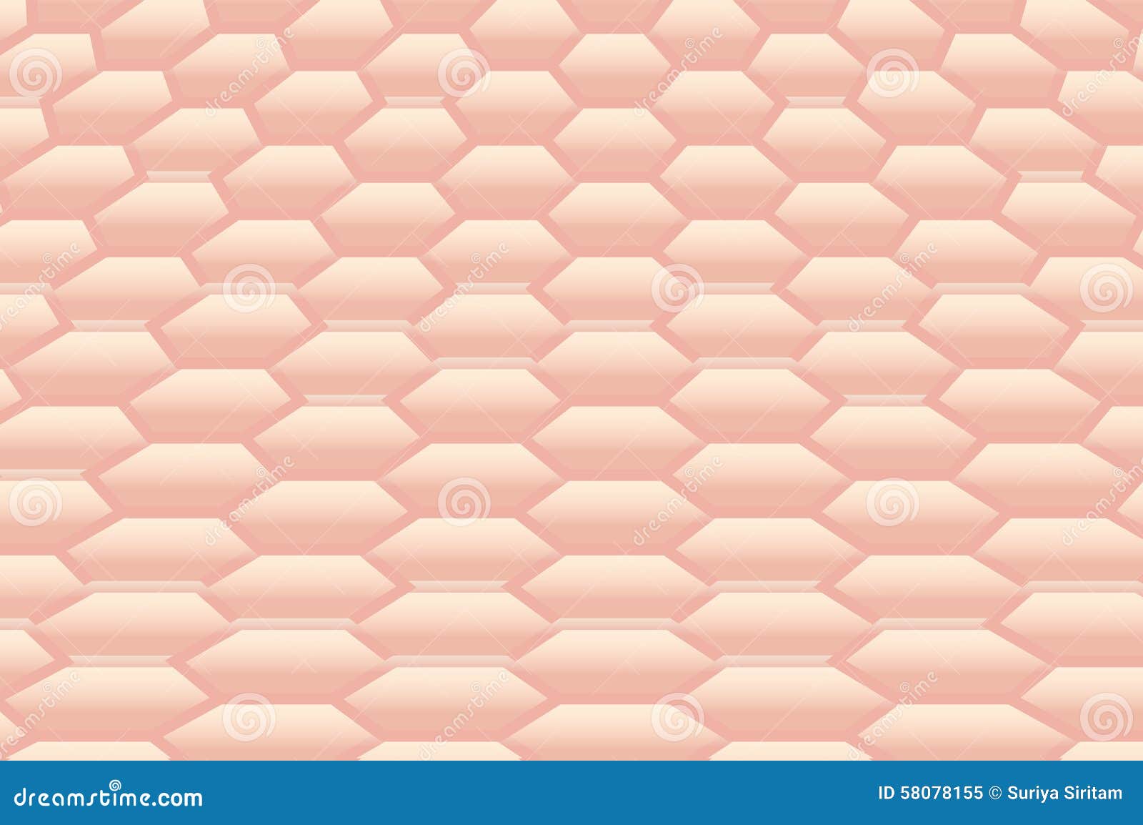 The Texture Of The Dermis. Background Epidermis. Cytology Histological ...