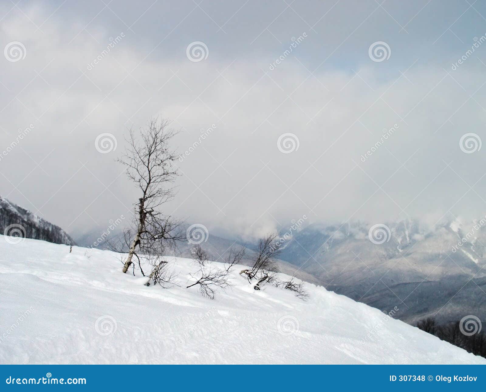 Deep snow stock photo. Image of height, wilderness, mountain - 307348