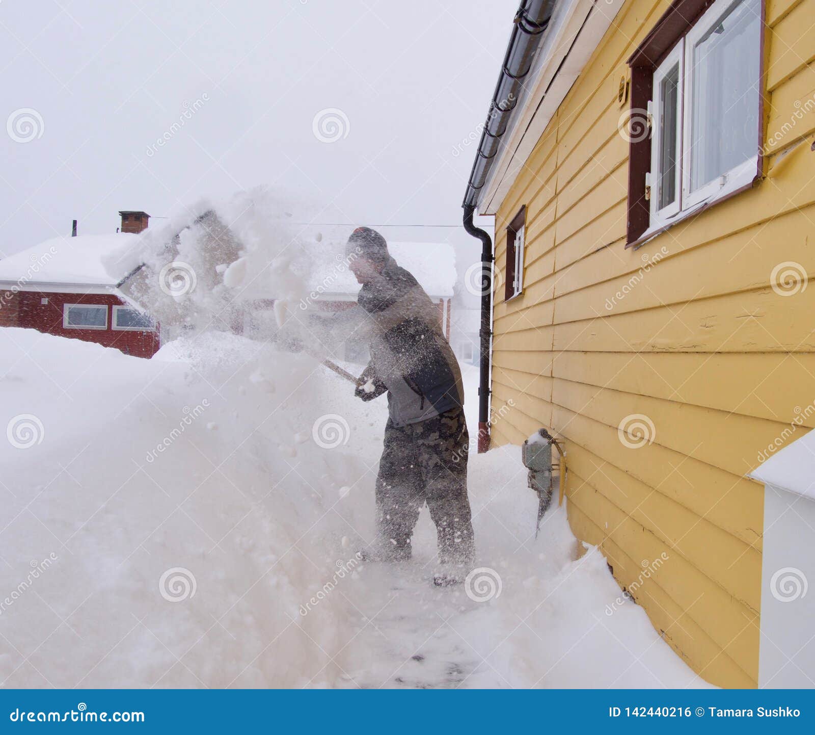 Deep snow, digging a snow stock photo. Image of frozen - 142440216