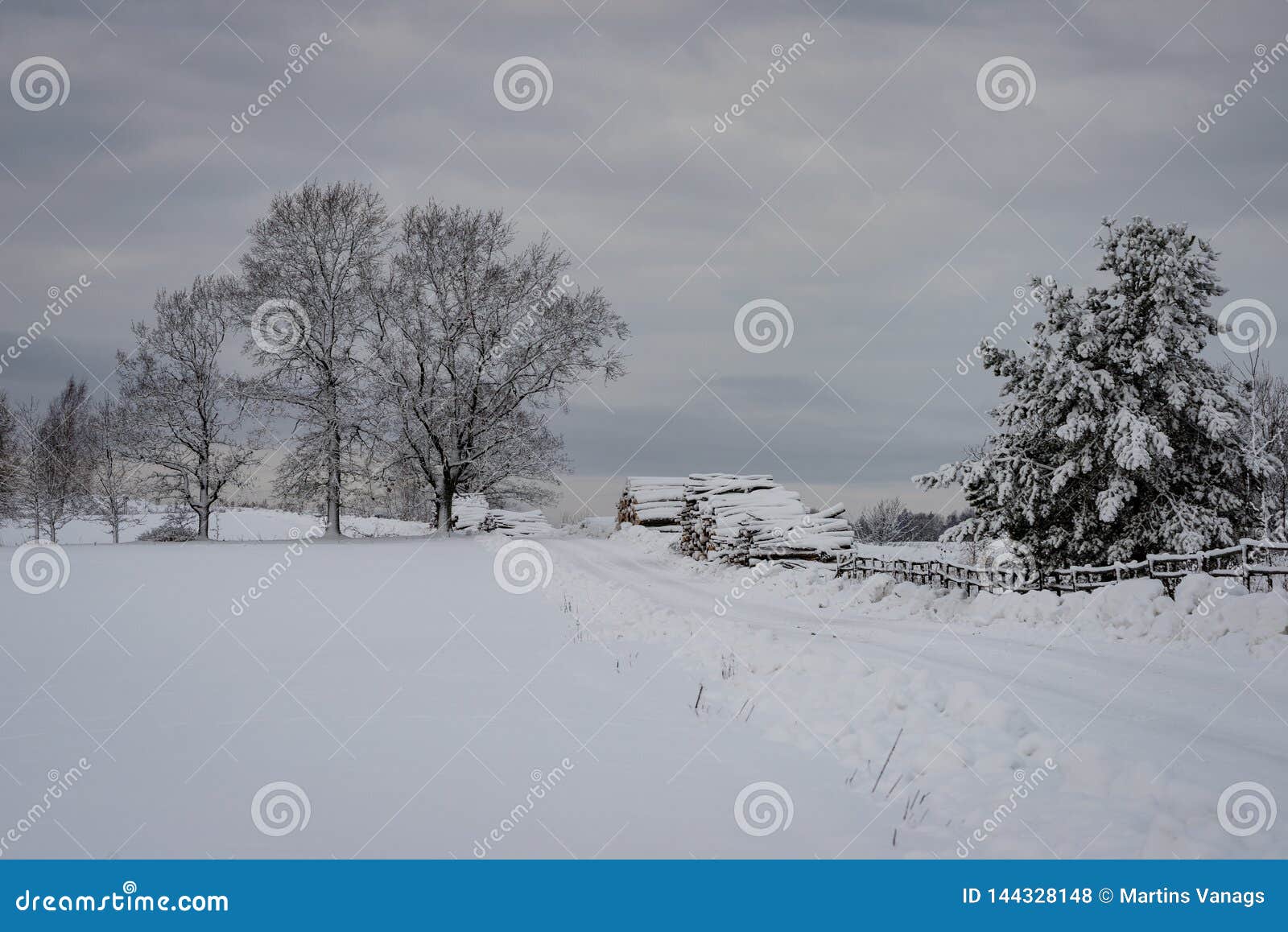 Deep Snow in Forest in Winter Stock Photo - Image of nature, wood ...