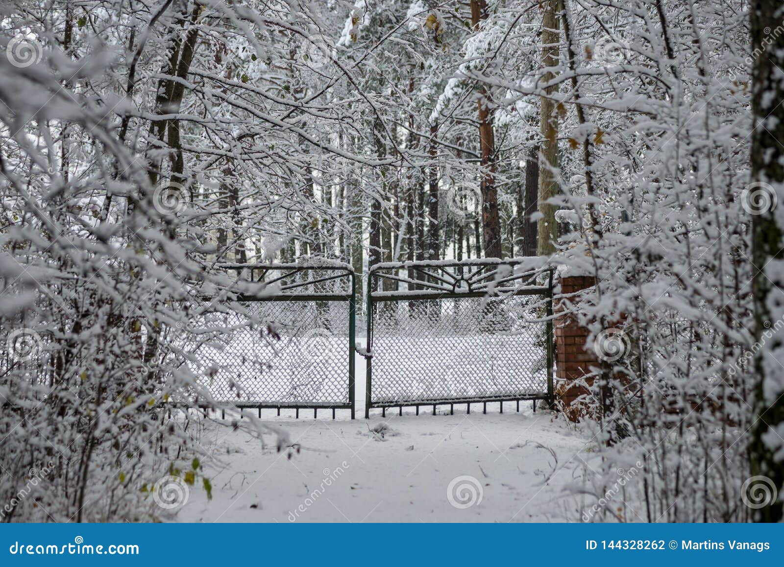 Deep Snow in Forest in Winter Stock Photo - Image of frozen, deep ...