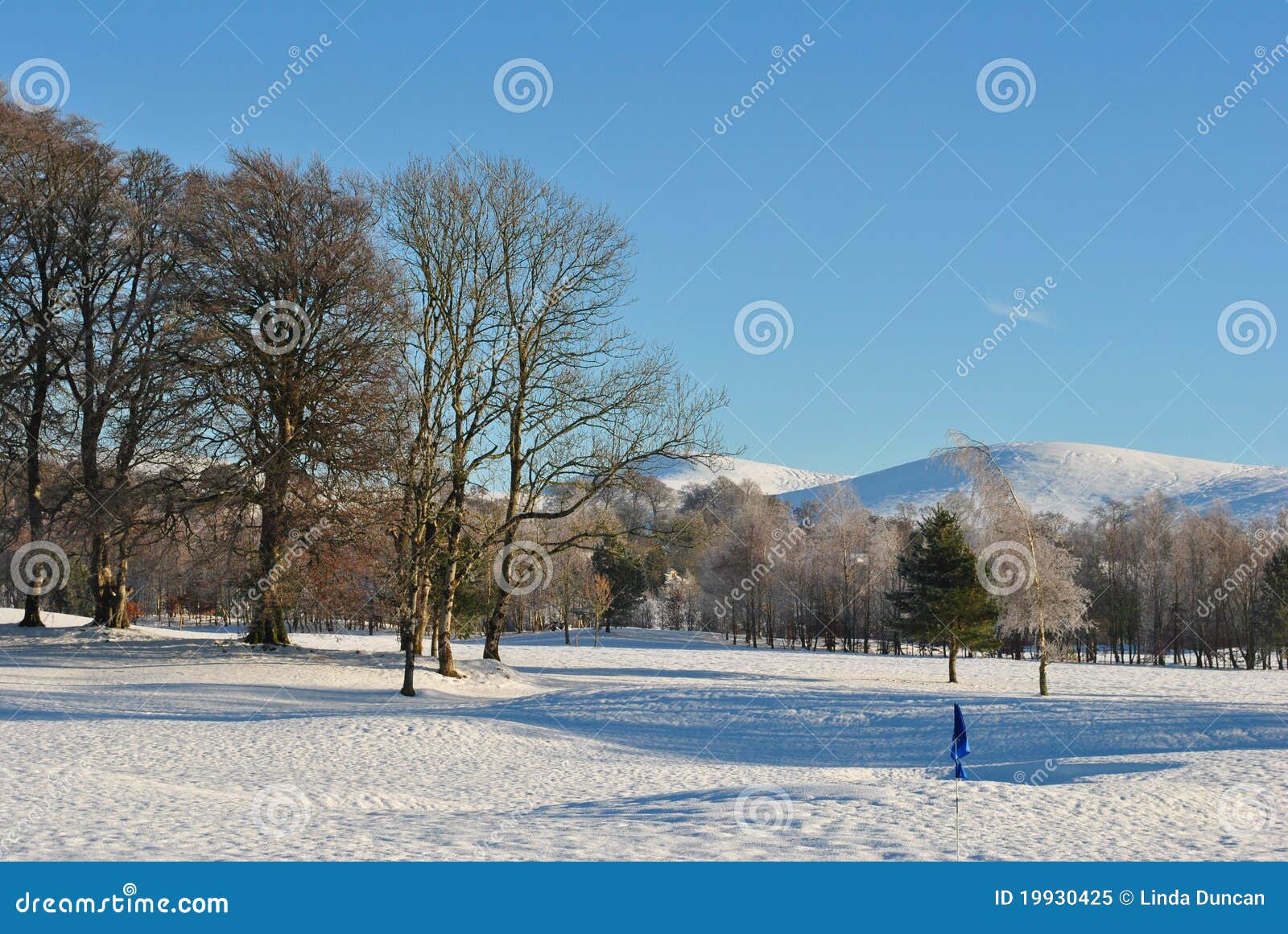 Deep snow on a golf course stock image. Image of parkland - 19930425