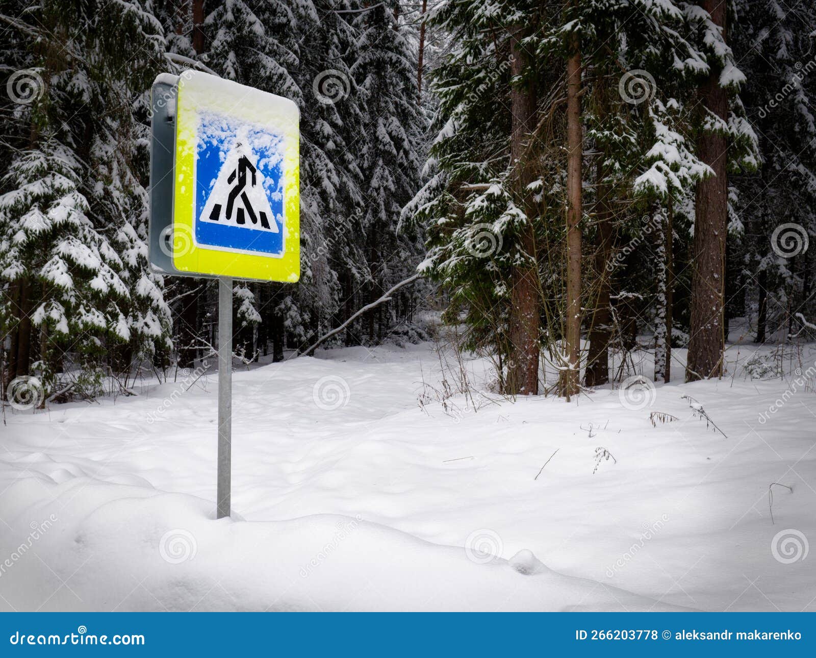 Deep Snow Winter Sign Crosswalk on Winter Road Stock Photo - Image of ...