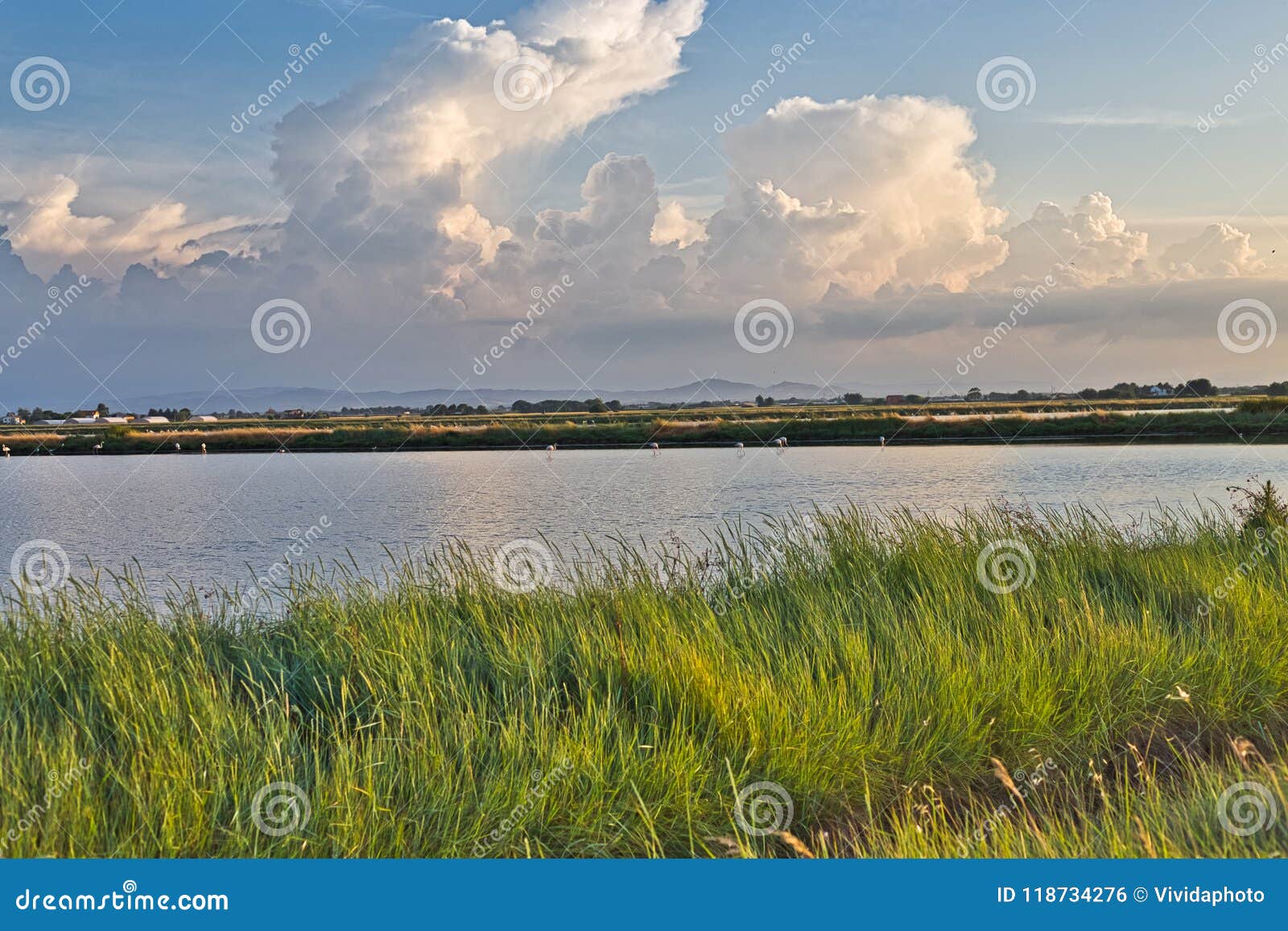 Sunset on wetlands stock photo. Image of background - 118734276