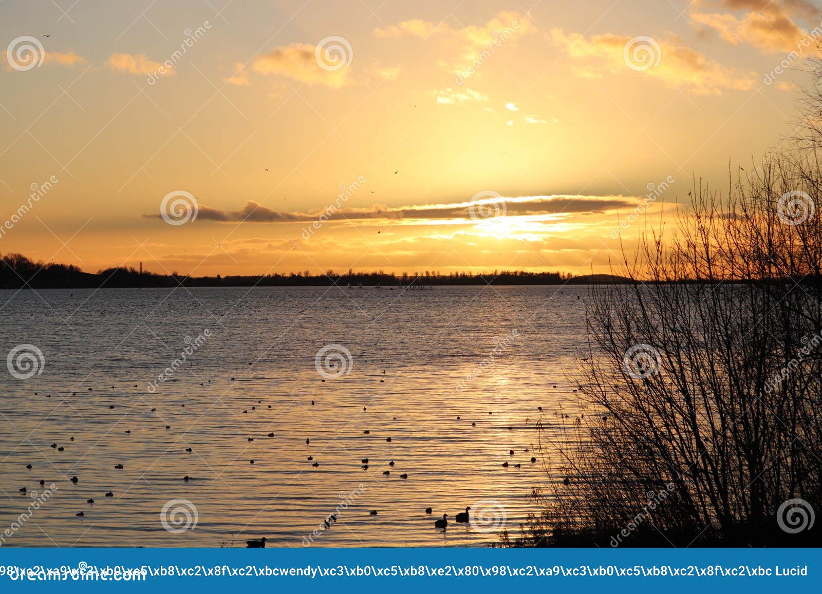 Deep Sunshine Setting Over Large Lake Stock Image - Image of lake ...