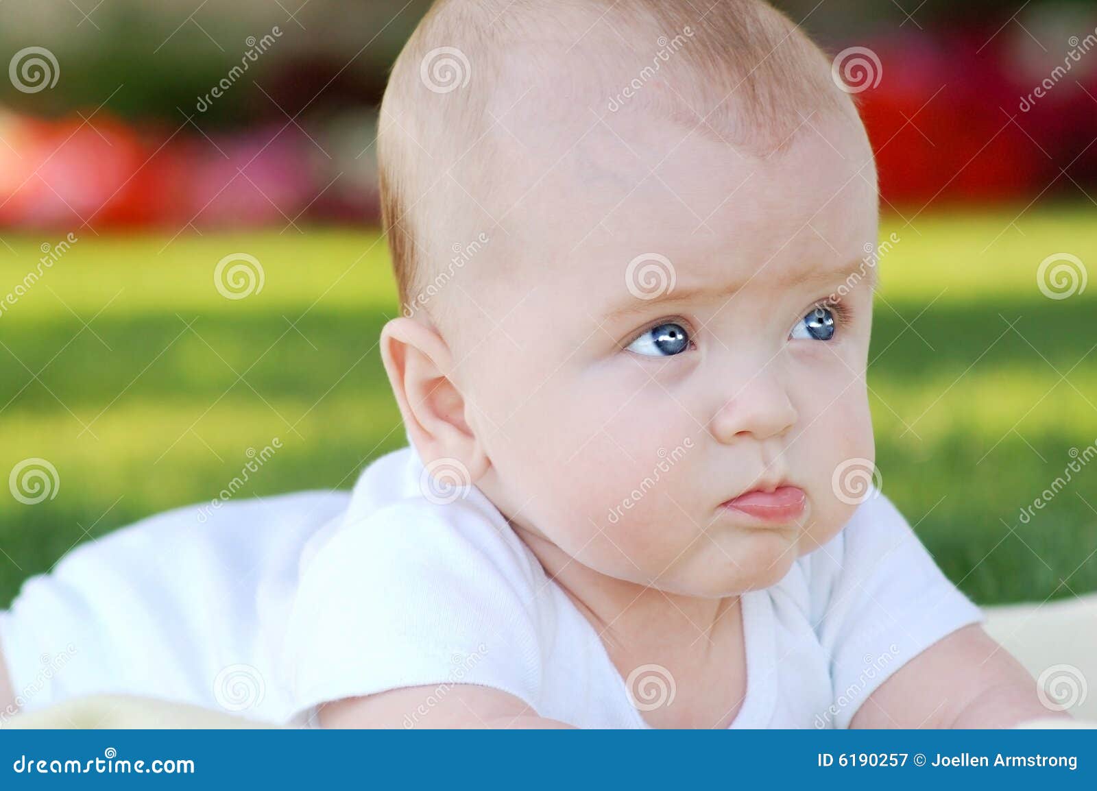 Deep in Thought stock image. Image of hands, delicate - 6190257 Deep in Thought stock image. Image of hands, delicate - 6190257
