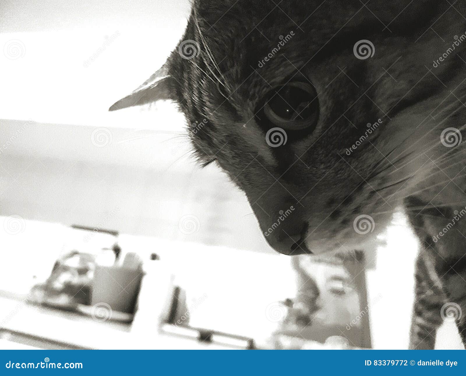 Deep thought stock photo. Image of thought, striped, blackwhite - 83379772