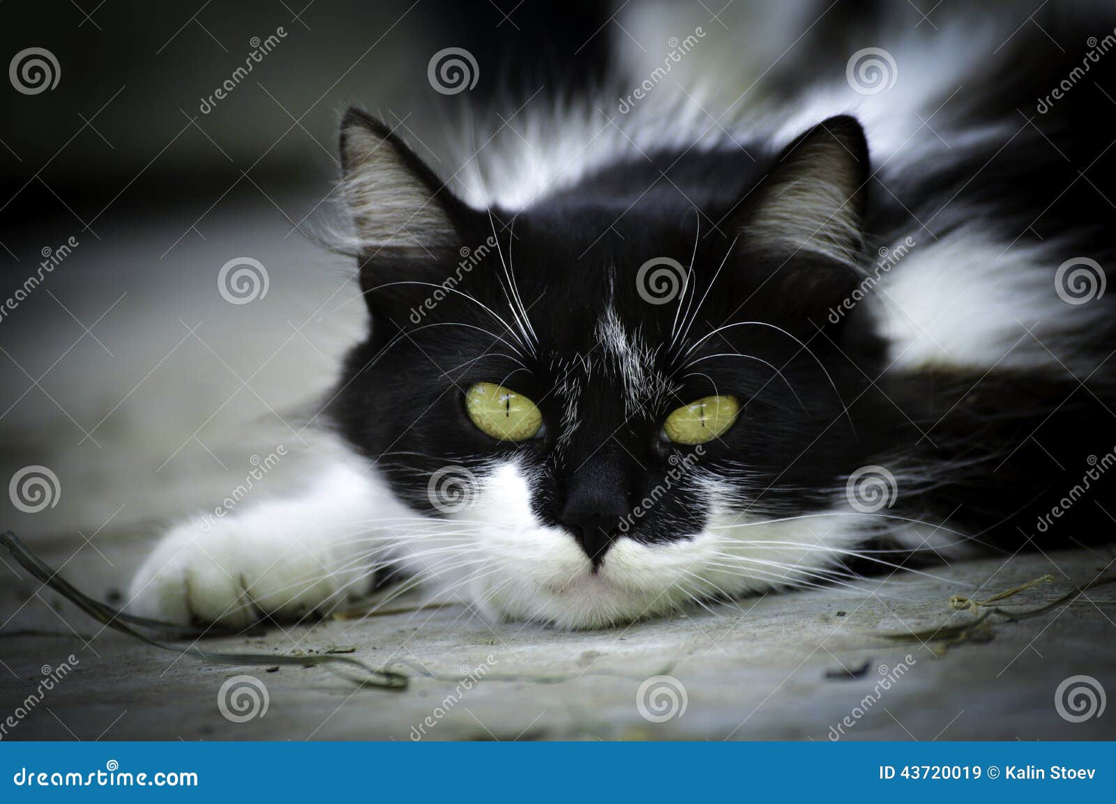 Deep thoughts stock image. Image of yellow, throne, black - 43720019