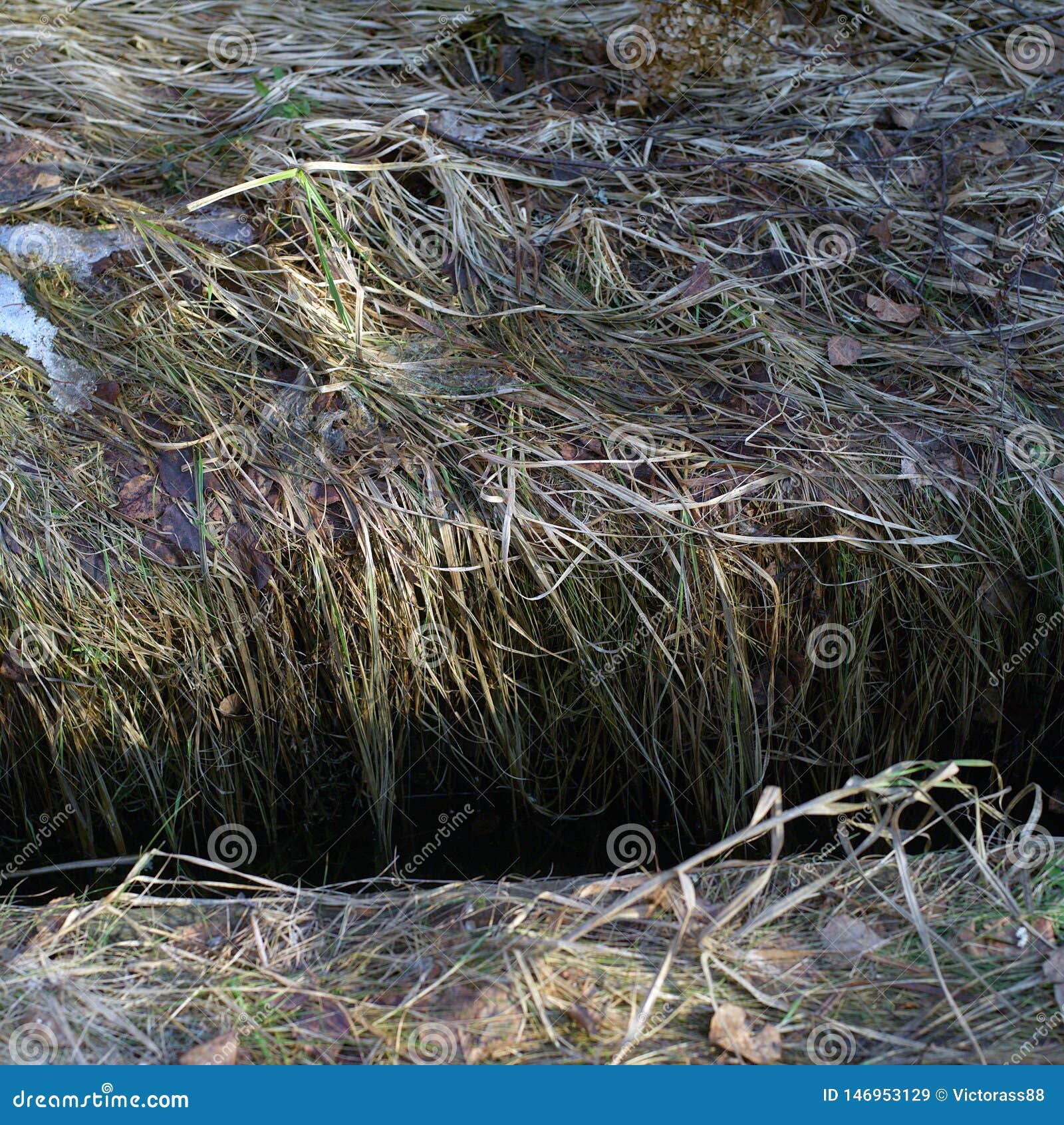 Deep trench and grass stock image. Image of trench, outdoors - 146953129