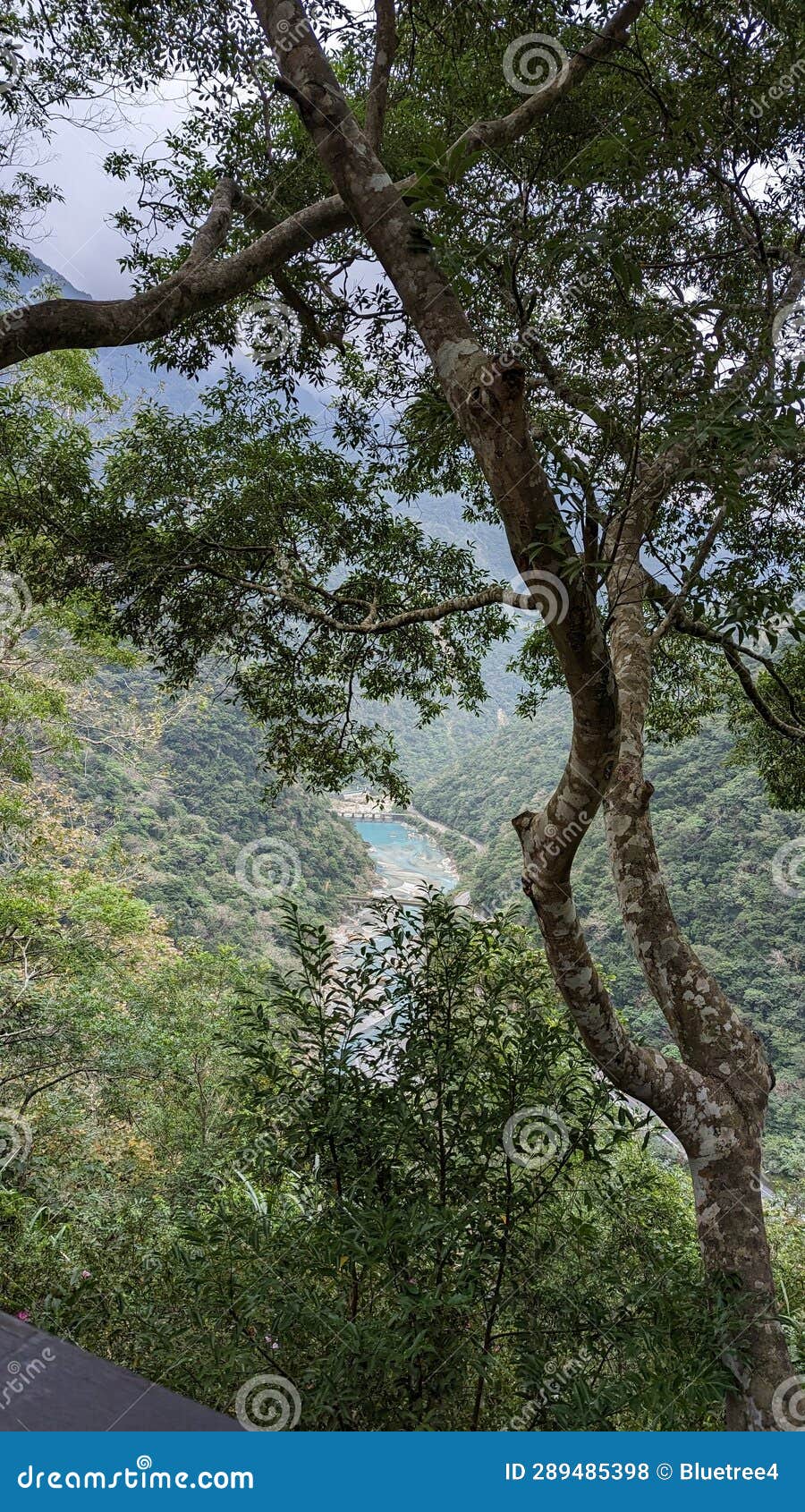 Deep Valley Cutting by River and Trees Stock Photo - Image of ...
