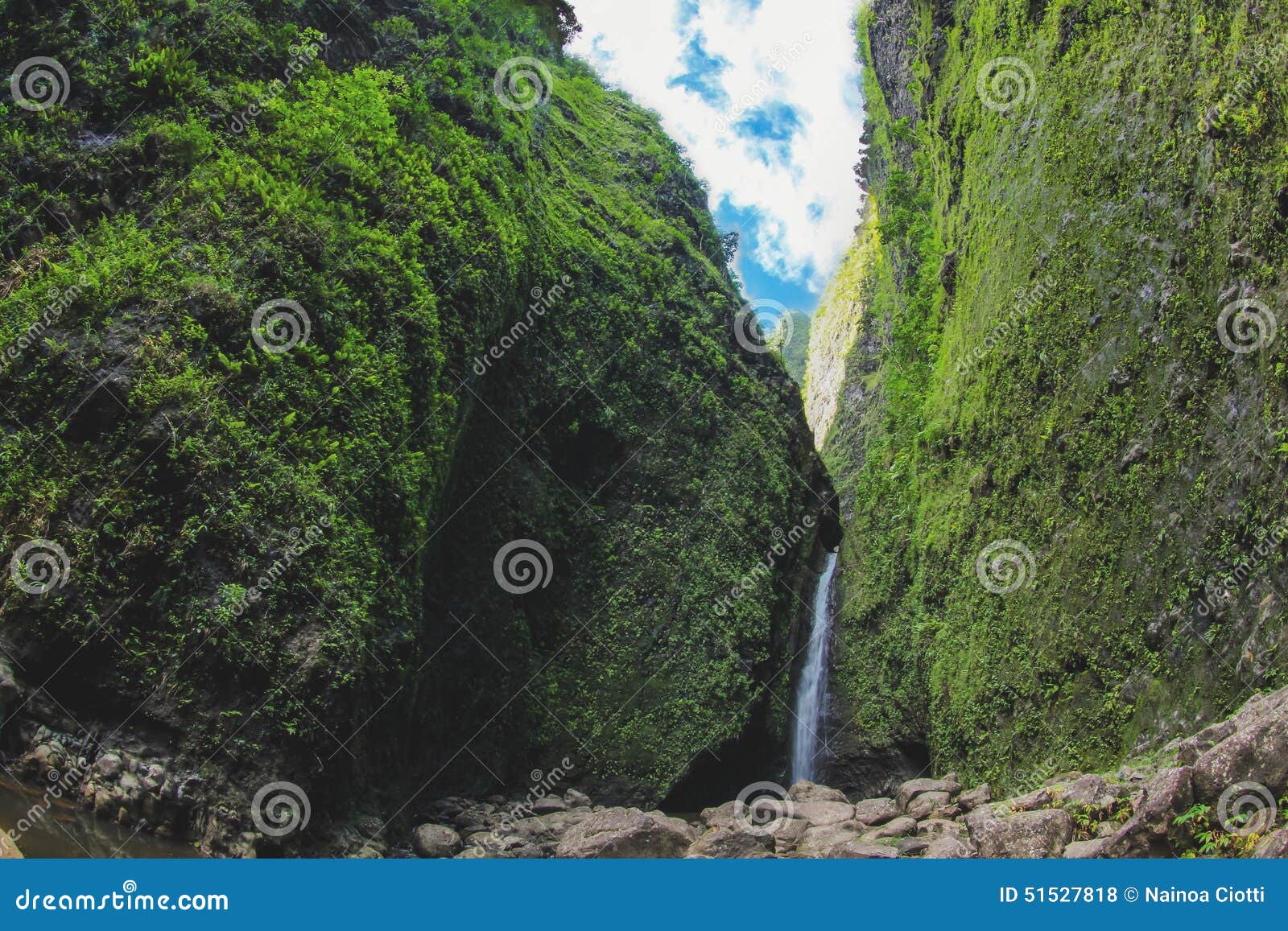 Deep in the valley stock photo. Image of oahu, hike, waterfall - 51527818