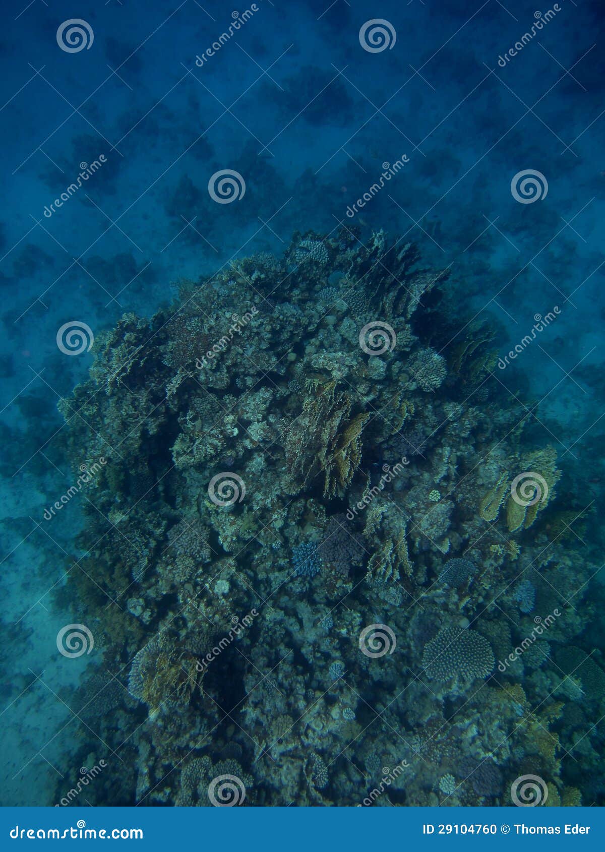 Deep water stock photo. Image of life, beautiful, reef - 29104760