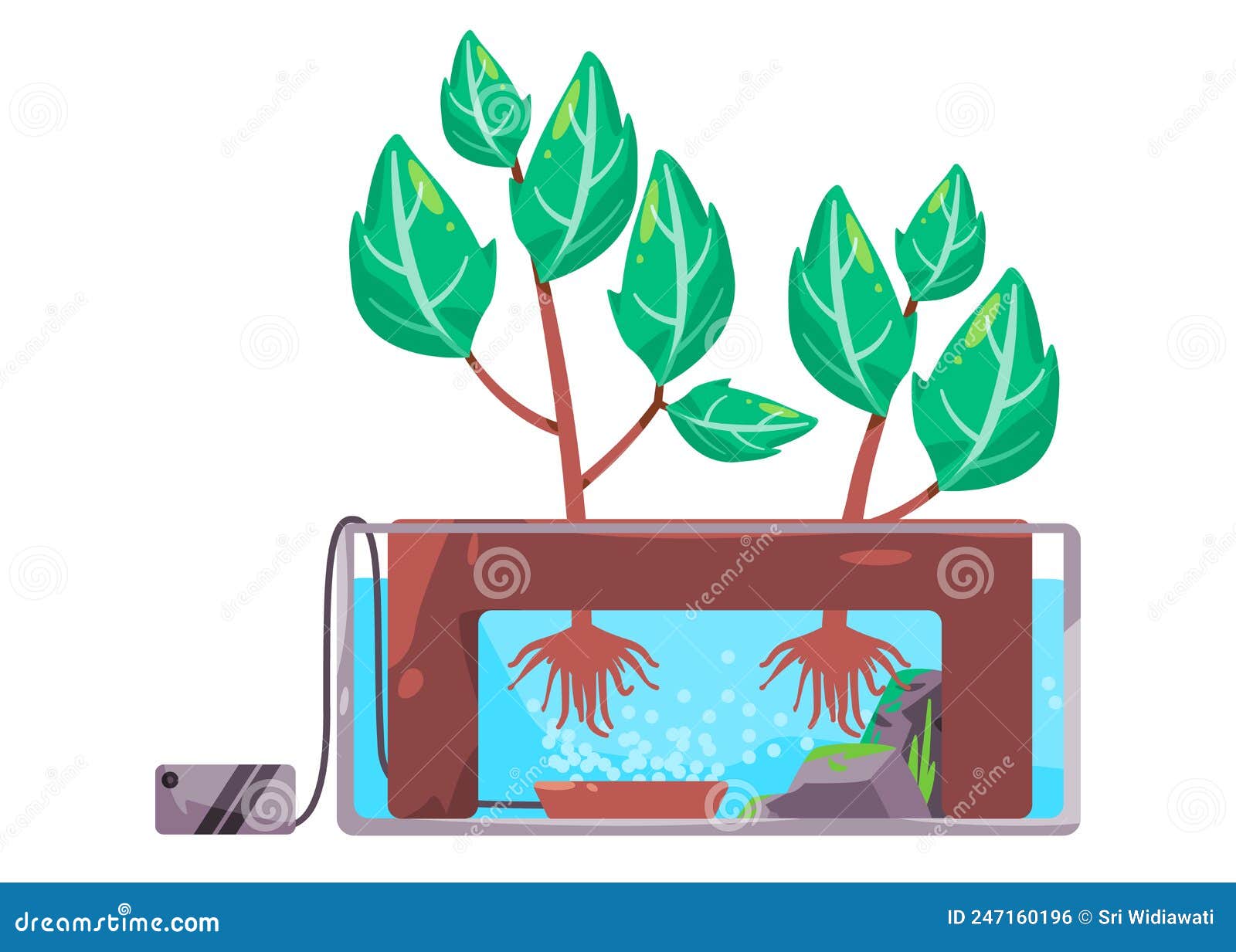 Ebb And Flow Hydroponic System Cartoon Vector | CartoonDealer.com #97471649