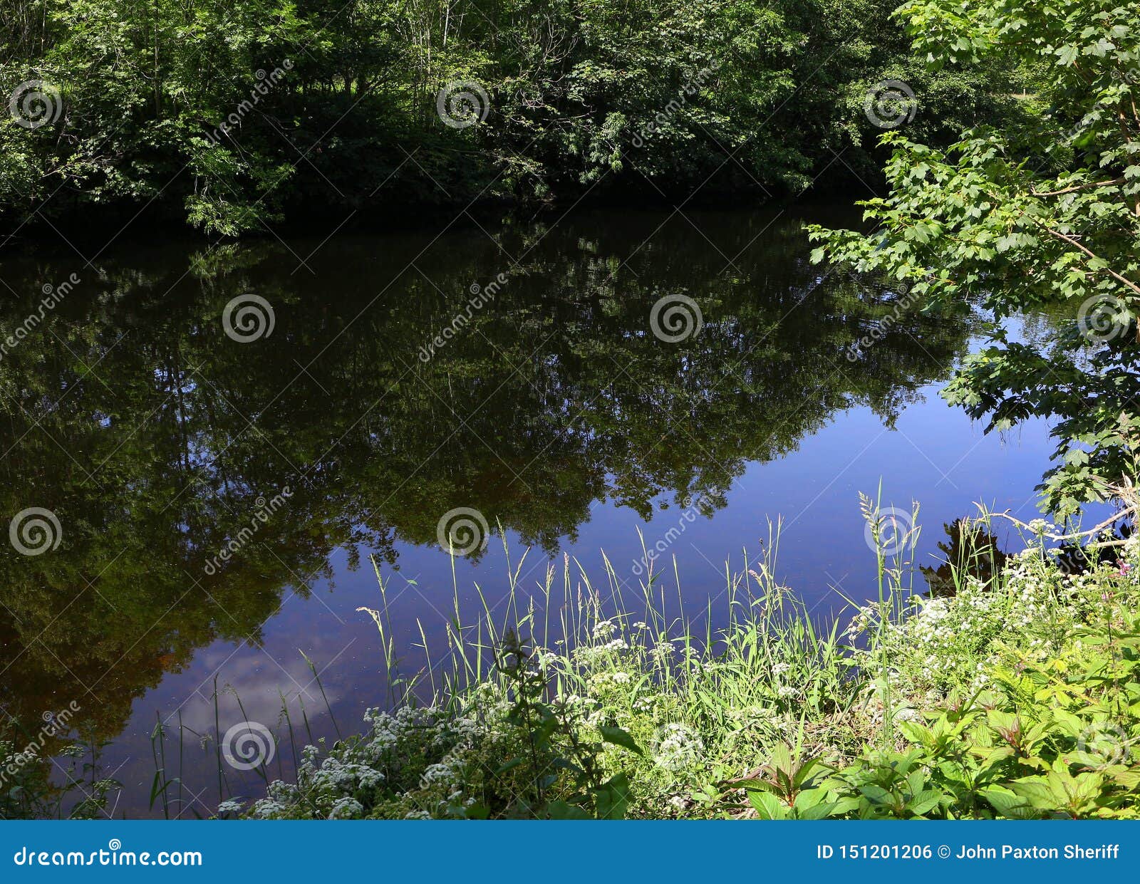 Deep Water Reflections, River in Hot Summer. Stock Photo - Image of ...