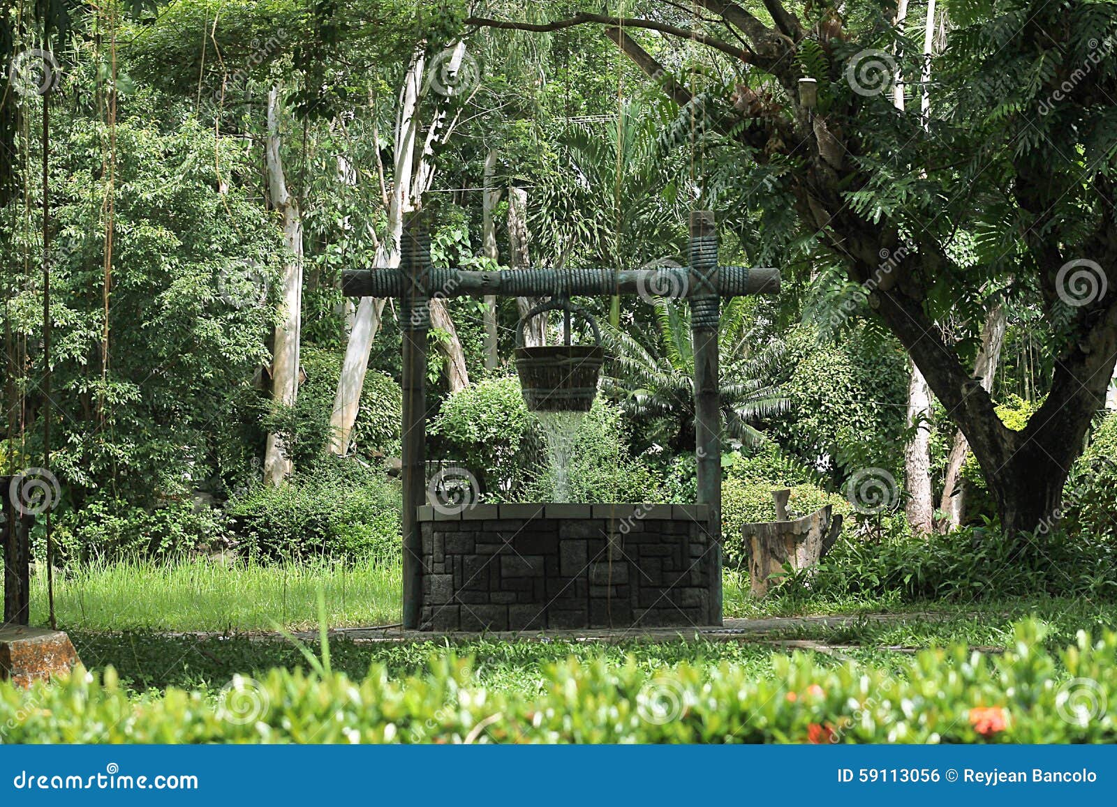 Deep-well in the forest editorial photo. Image of forest - 59113056