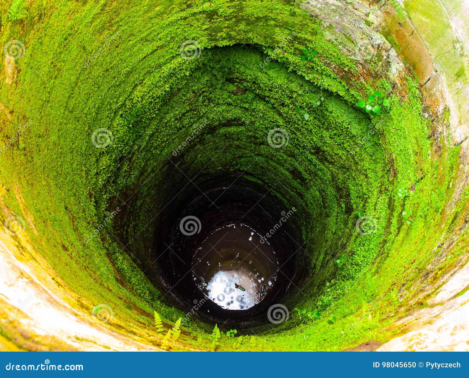 Deep Well with Water and Green Moss on the Wall Stock Photo - Image of ...