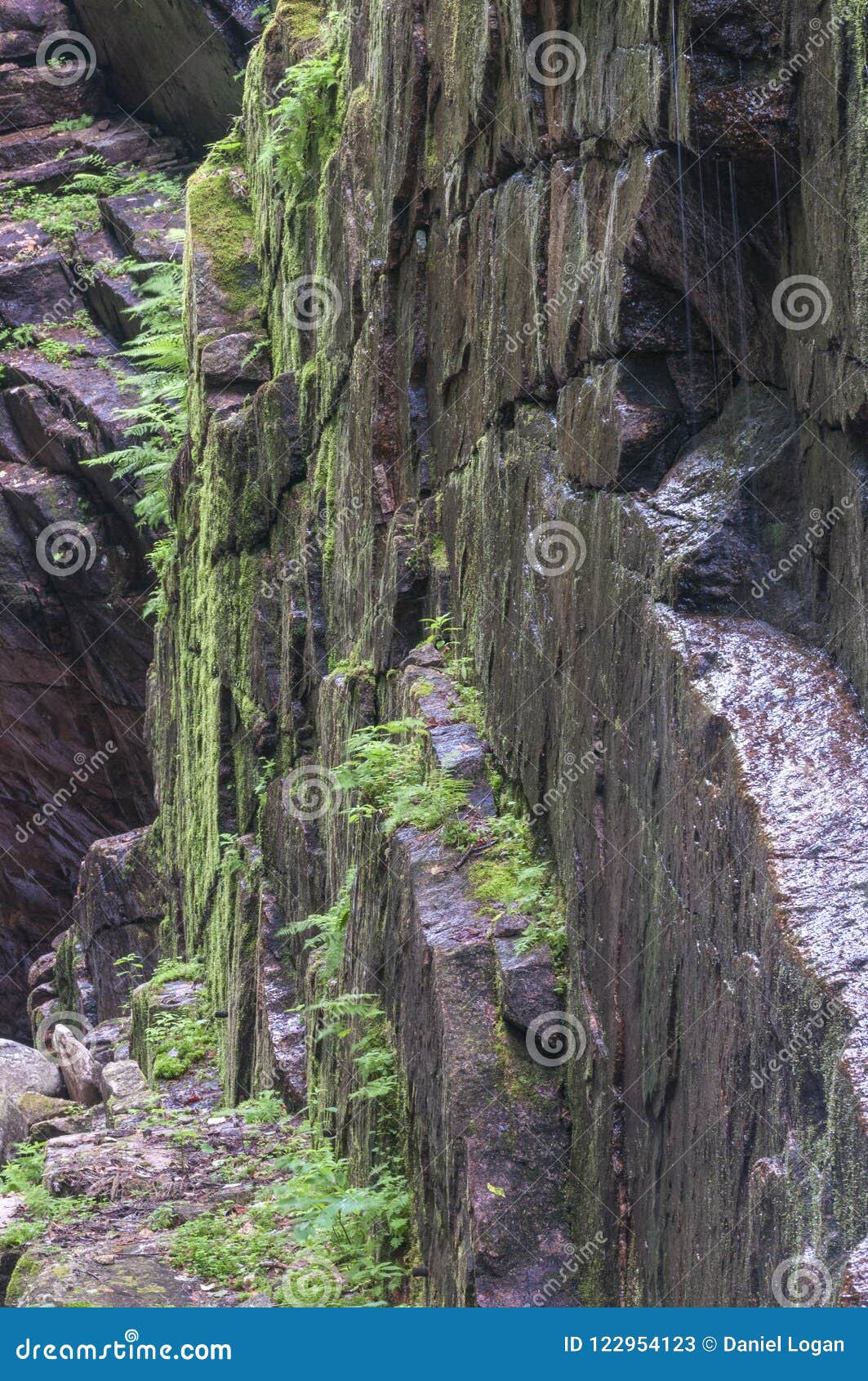 Deep, wet ravine stock image. Image of summer, england - 122954123