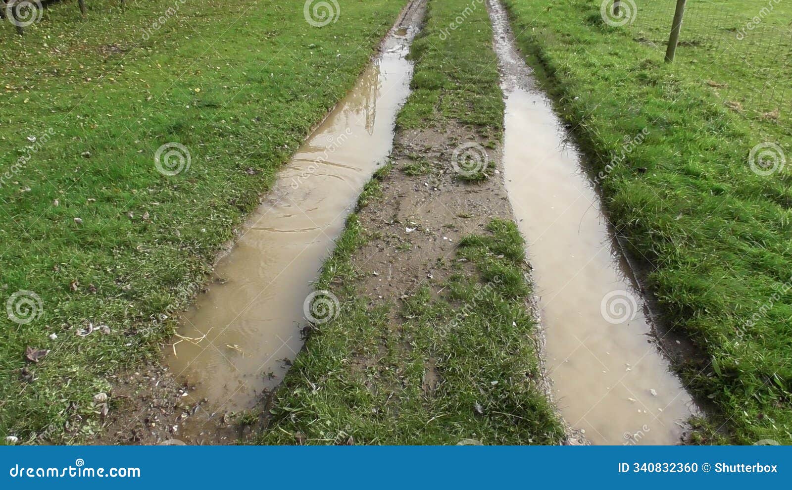 Deep Wheel Marks Filled with Rain Water from a Downpour Devon 2024 ...