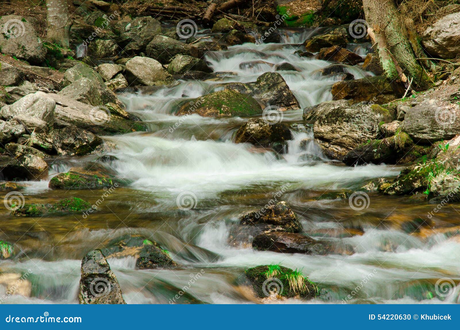 Deep wood stock photo. Image of foliage, mountains, lush - 54220630