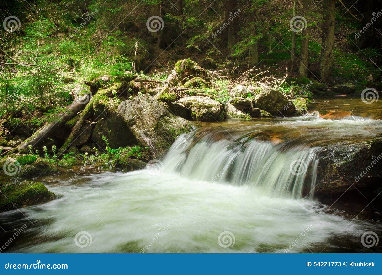 Deep wood stock image. Image of peace, creek, background - 54221773