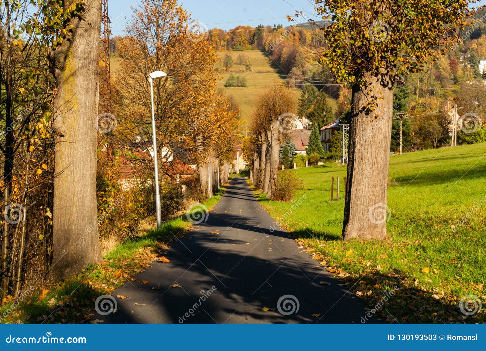 Deep Wood Forest Hiking Trail Stock Image - Image of daylight, beech ...
