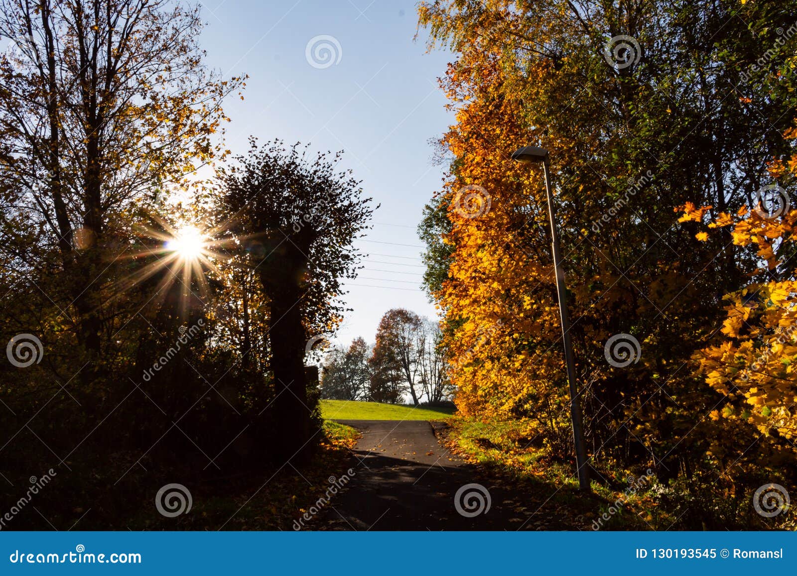 Deep Wood Forest Hiking Trail Stock Image - Image of light, colors ...