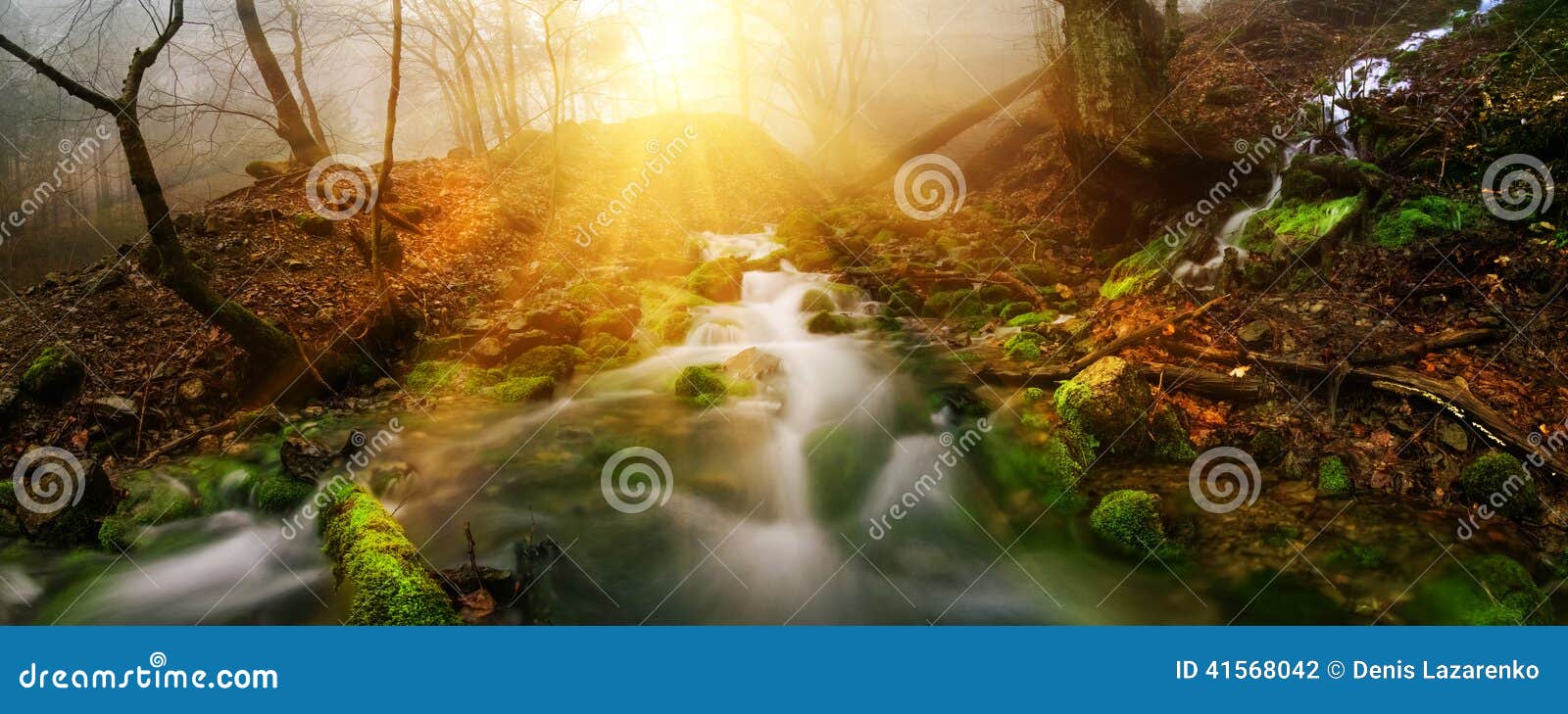 Deep wood river stock photo. Image of backwoods, forest - 41568042