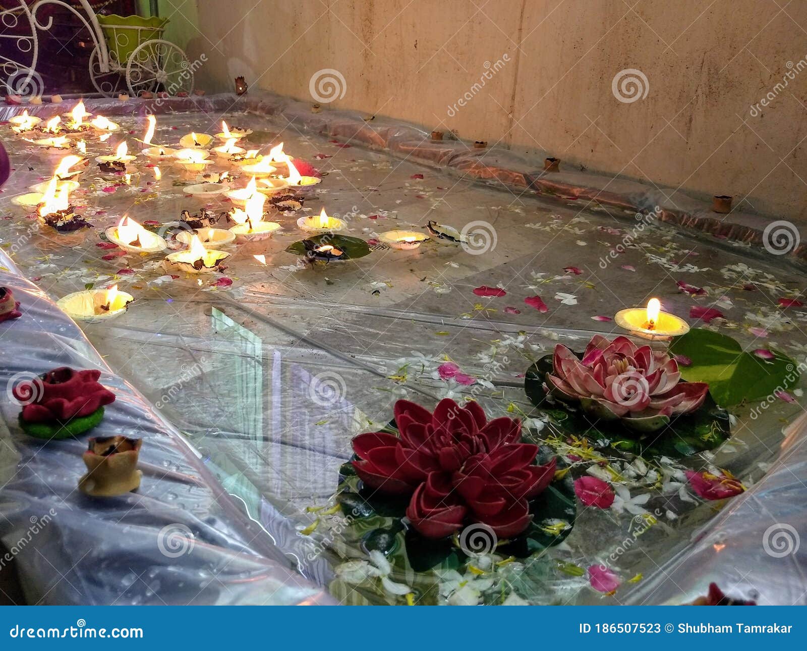 Deepdan in Artificial Pond with Artificial Lotus. Stock Image - Image ...