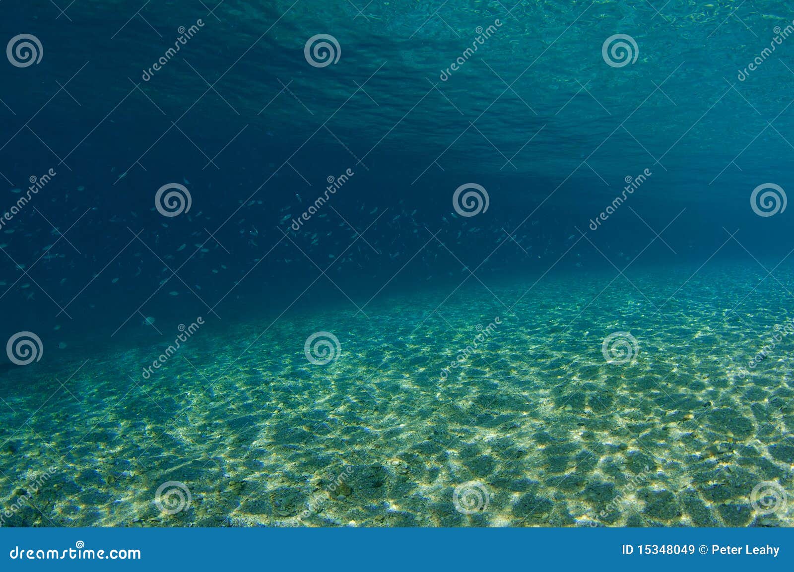 Deepening Underwater Slope IV Stock Image - Image of ocean, atlantic ...