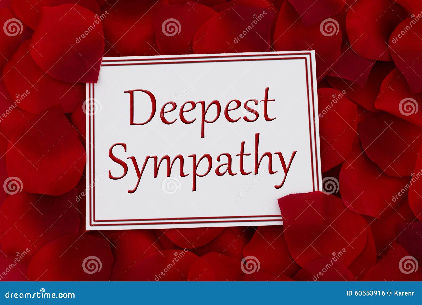Deepest Sympathy Card stock photo. Image of petals, object - 60553916