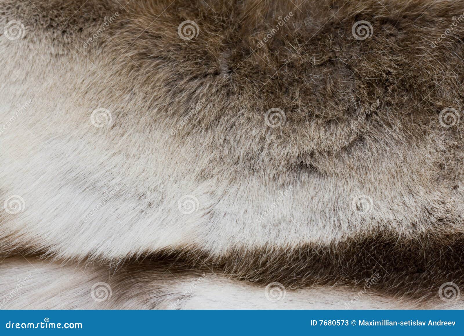 Deerï¿½s fur texture stock image. Image of wildlife, skin - 7680573