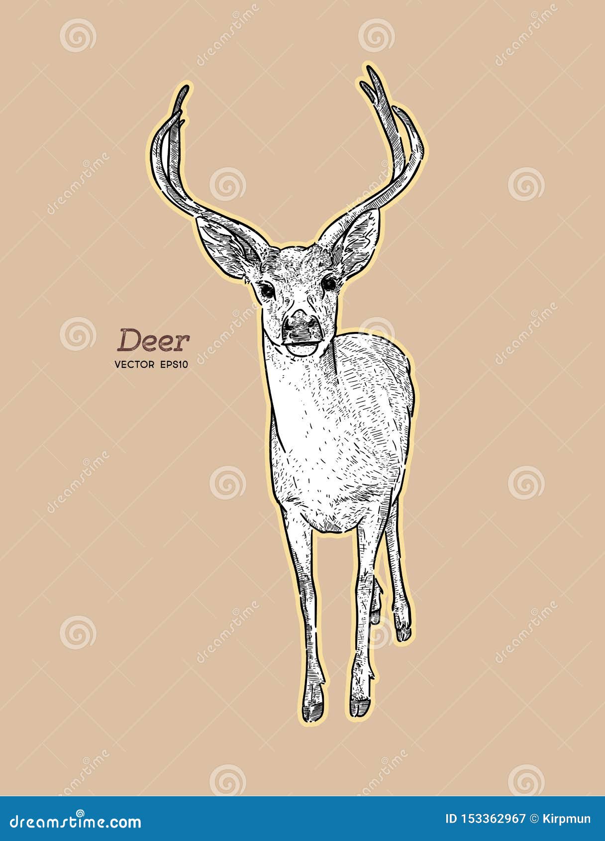 Deer, Animal. Hand Draw Sketch Vector Stock Vector - Illustration of ...
