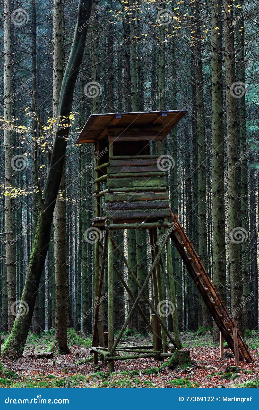 Enclosed Ladder Stock Image | CartoonDealer.com #32430487