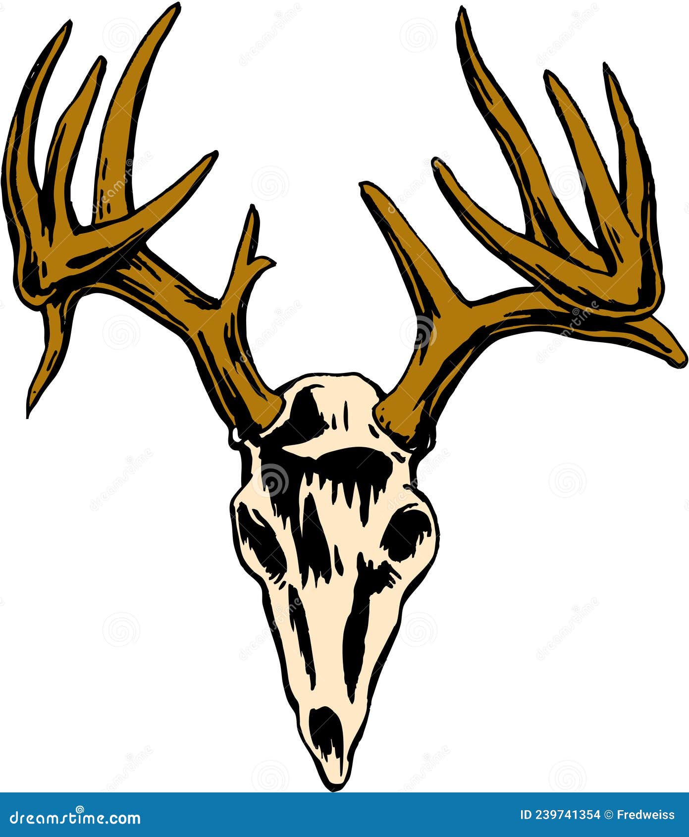 Deer Buck Skull Vector Illustration Stock Vector - Illustration of ...