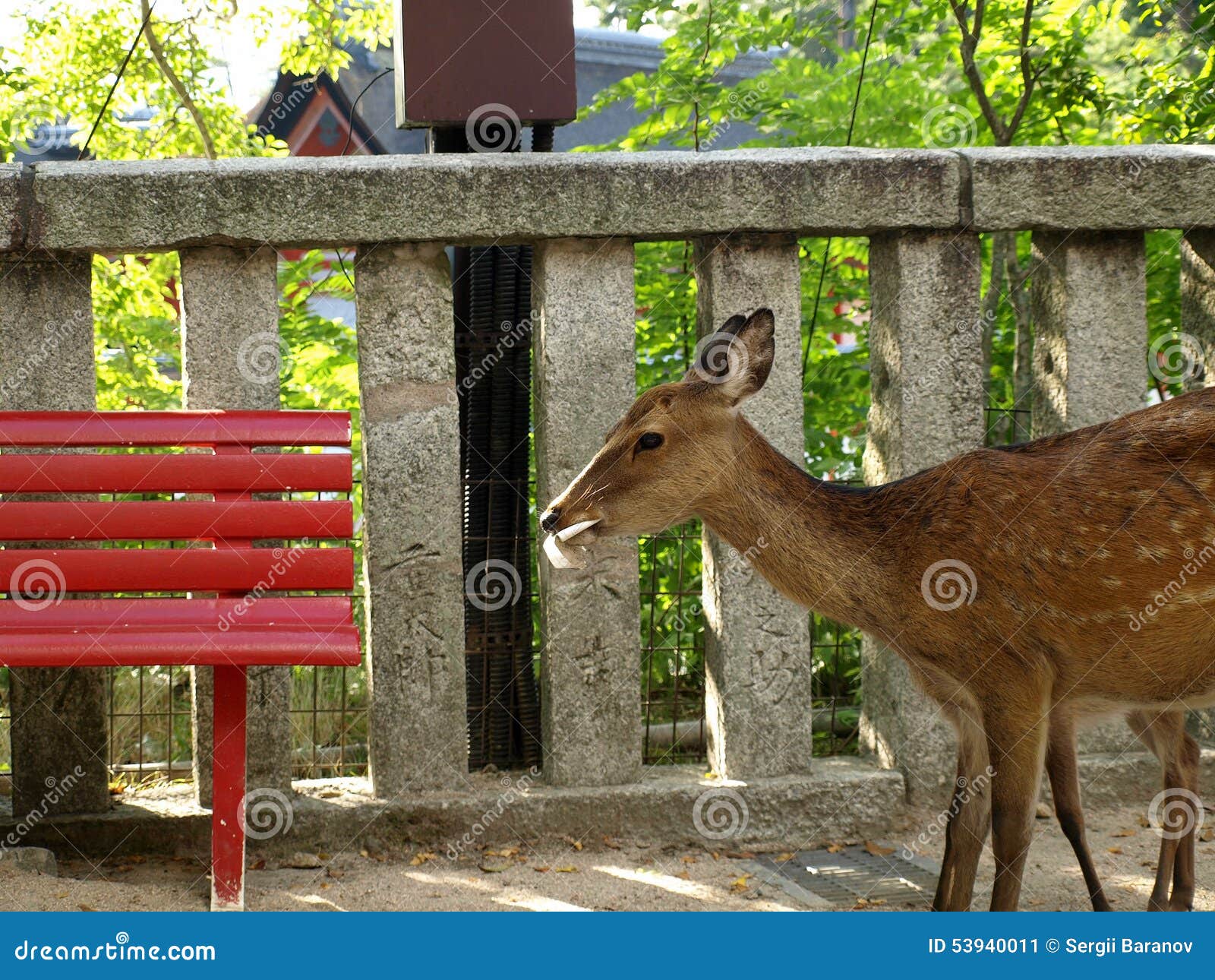 Deer at buddhist temple stock image. Image of deer, cult - 53940011