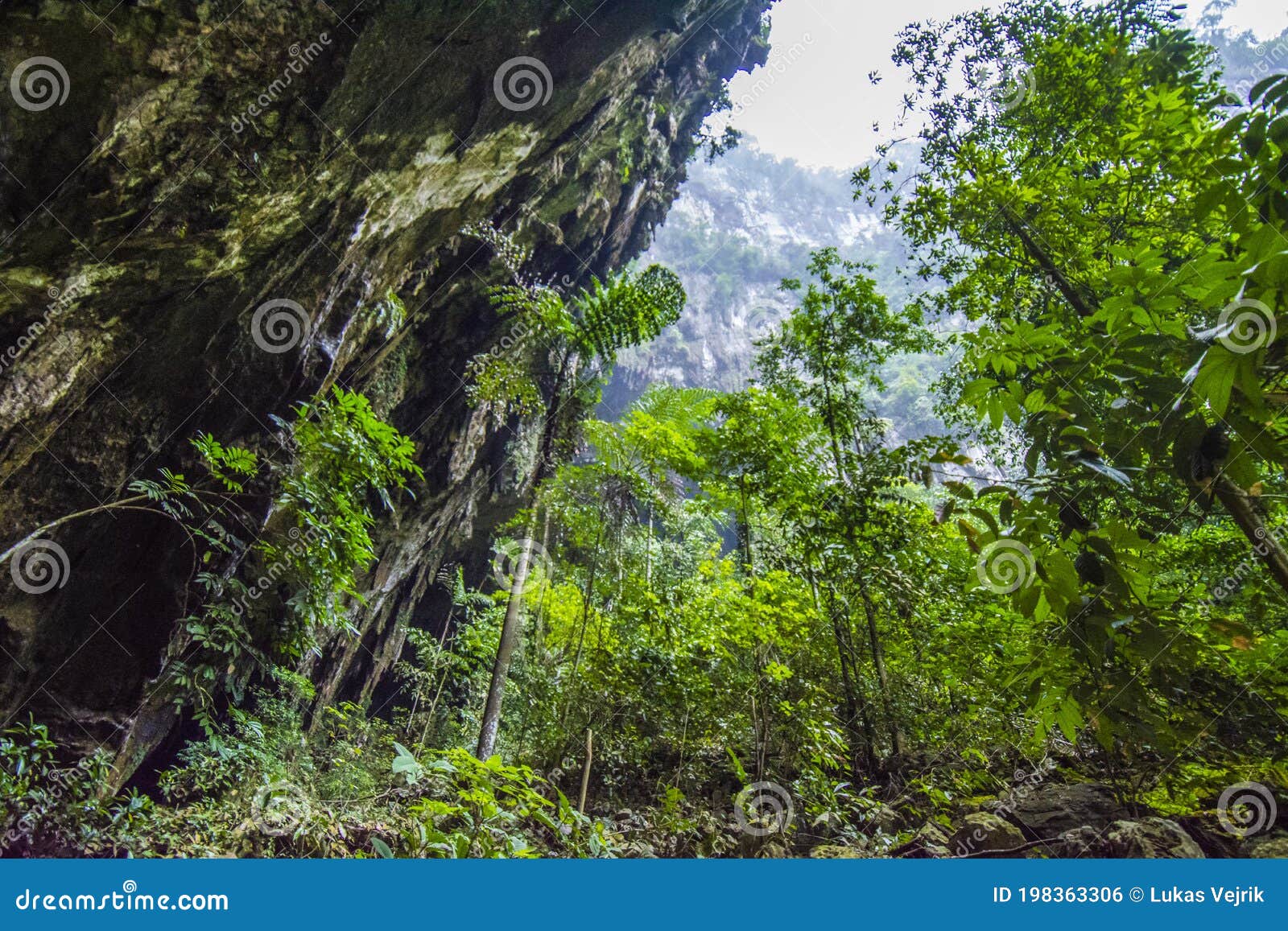 Deer Cave Mulu National Park Borneo Stock Photo - Image of light ...