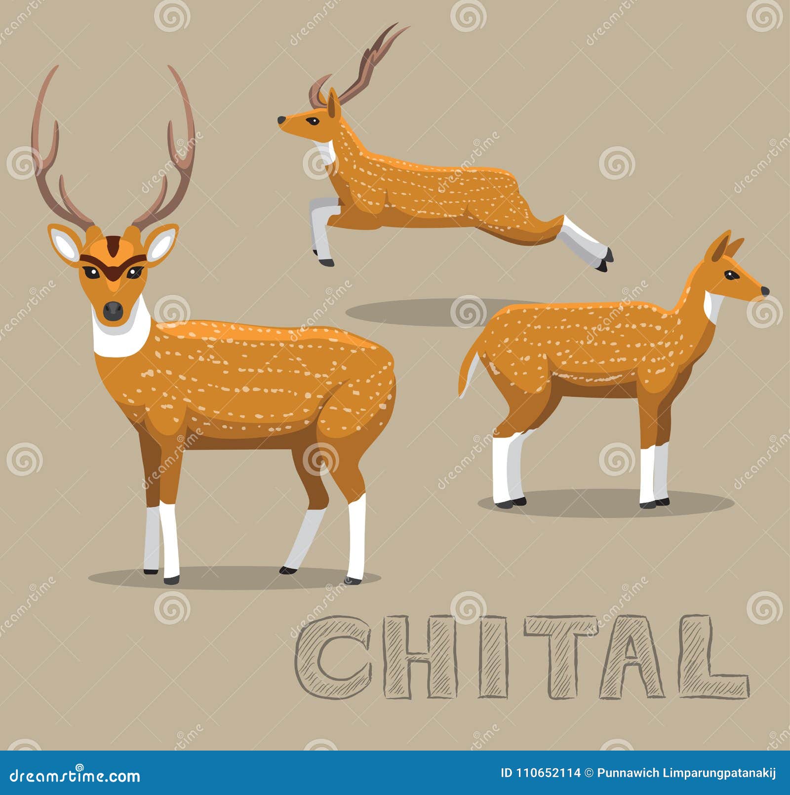 Deer Chital Cartoon Background Seamless Wallpaper | CartoonDealer.com ...