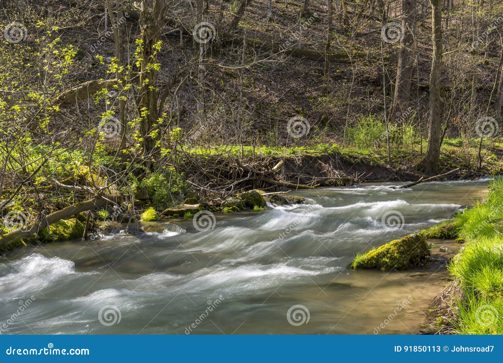 Deer Creek in Spring stock image. Image of hill, springs - 91850113