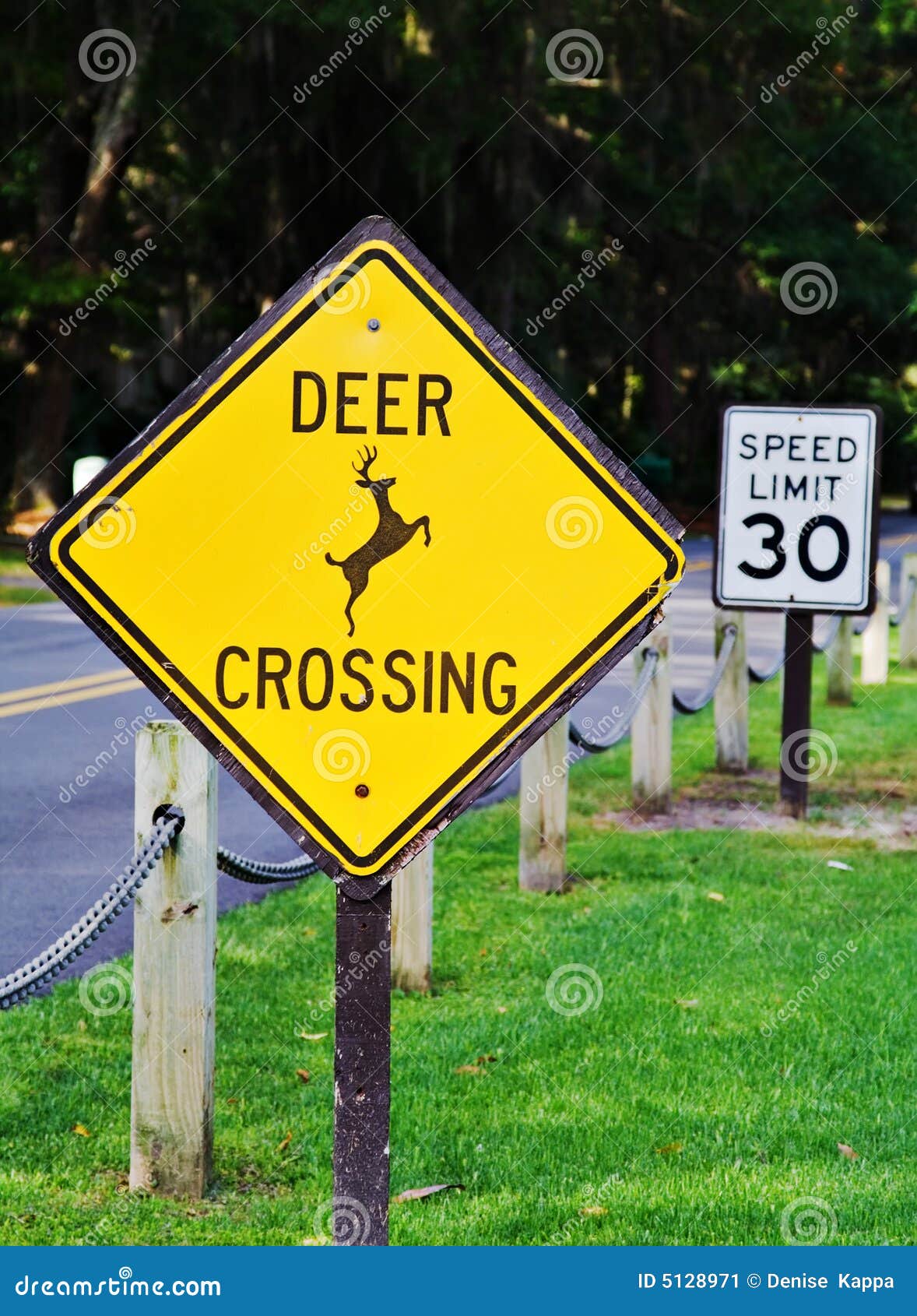 Deer Crossing Sign stock image. Image of watch, warning - 5128971