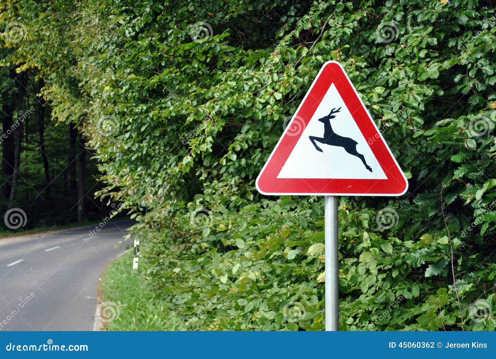 Deer crossing sign stock photo. Image of warns, dangerous - 45060362