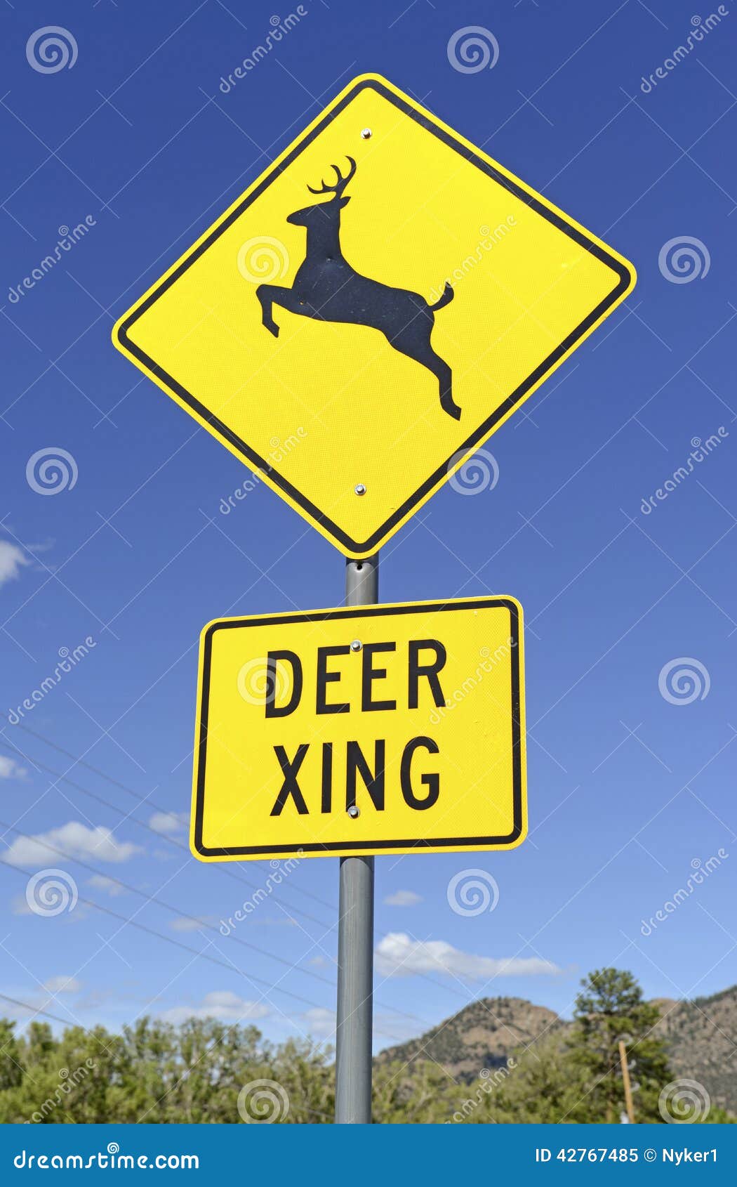 Deer Crossing Warning Sign on Empty Road Stock Image - Image of ...