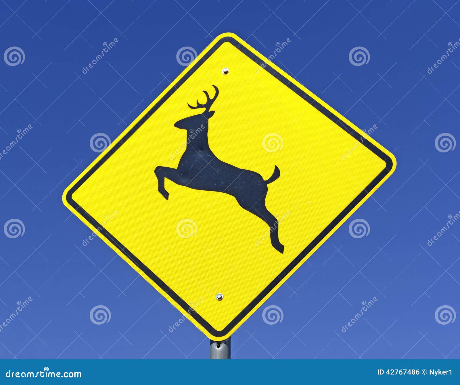 Deer Crossing Warning Sign on Empty Road Stock Photo - Image of safety ...